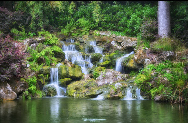 Backyard Waterfalls | FWG Designs, LLC